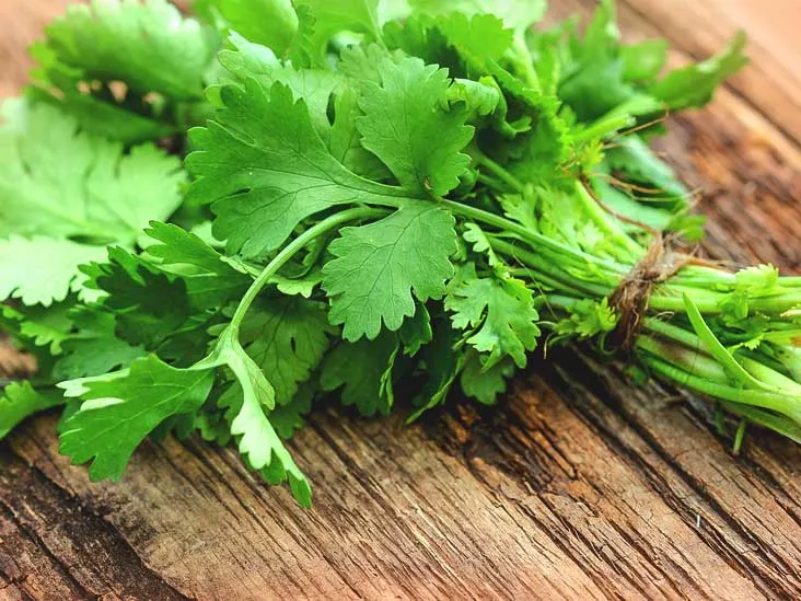 11 Jenis Daun-daunan Pelengkap Masakan, Menambah Aroma Kuat dan Cita ...