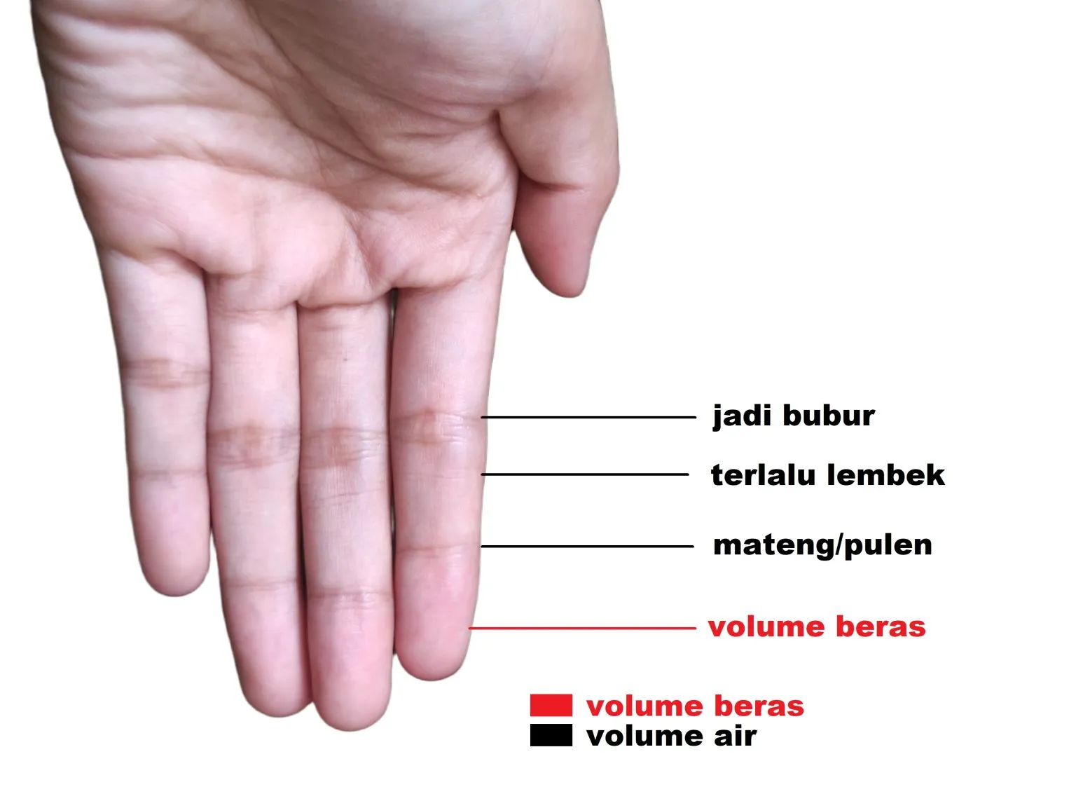 5 Cara Masak Nasi biar Matang Sempurna: Pemula, Anak Kos, & Anak ...
